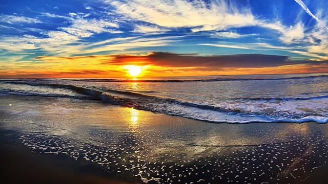5 Cool Beaches to Day Trip to from Brampton | INsauga