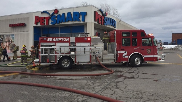 Fire Breaks Out at Pet Store in Brampton | INsauga