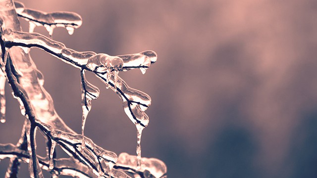 Freezing rain alert in Mississauga, Brampton, Hamilton, Halton and ...