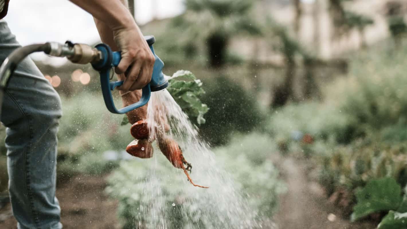 Outdoor water use advisory lifted in Brampton | INsauga