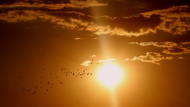 Extremely hot weather in the forecast for Mississauga and Brampton this ...