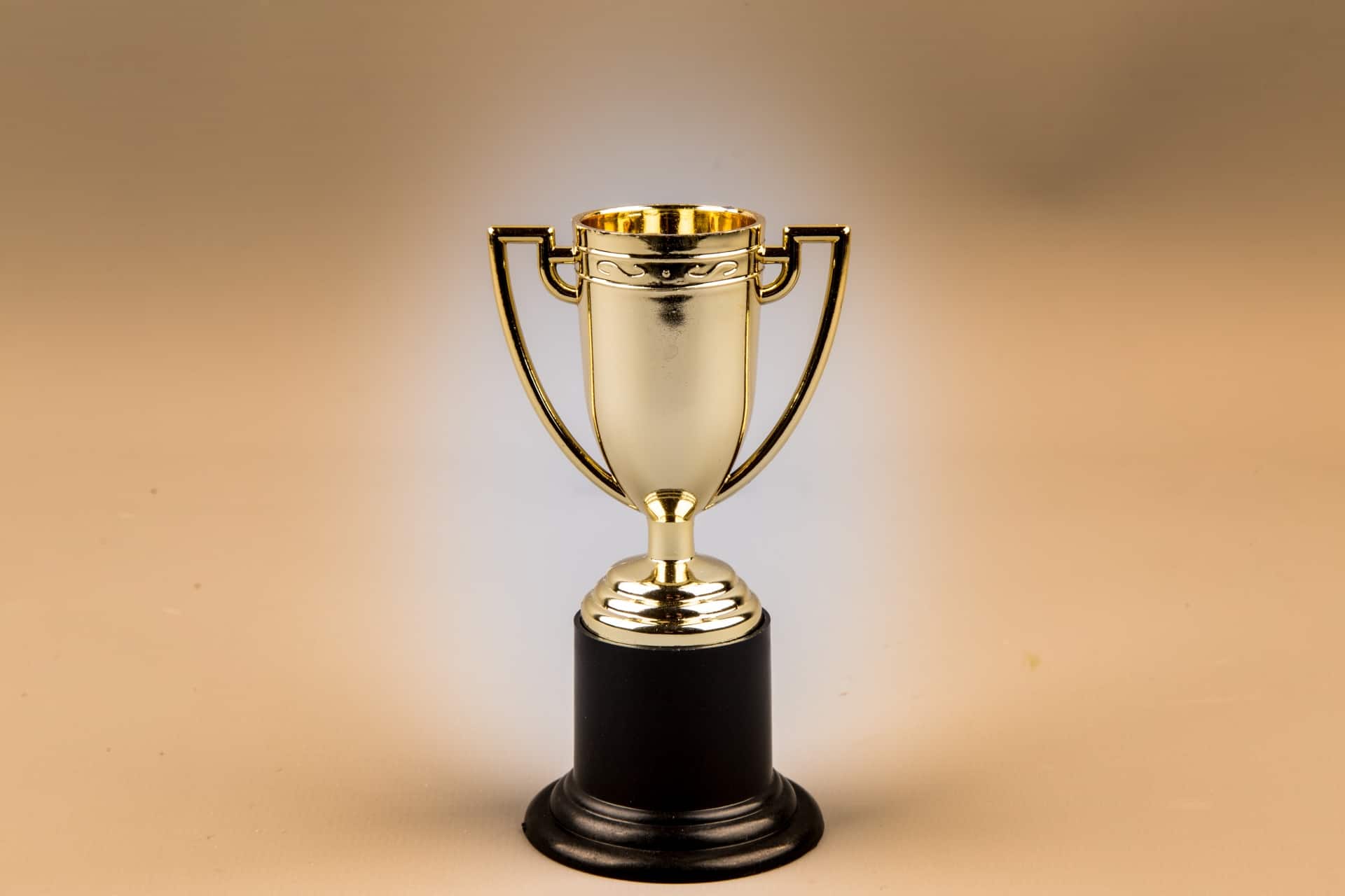 Huge Brampton Attraction Wins a Cool Award | INsauga