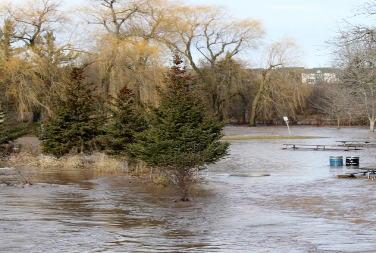Heavy rain in Mississauga could lead to local flooding | INsauga