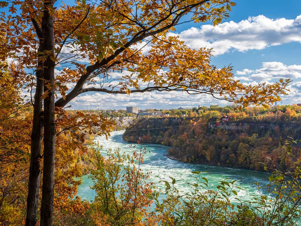 Niagara Region's Photo of the Week | inNiagaraRegion