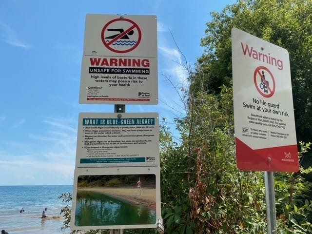 Mississauga residents warned to avoid poisonous algae that smells of ...