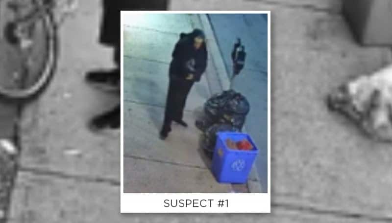 Hamilton police share images of theft suspects | INthehammer