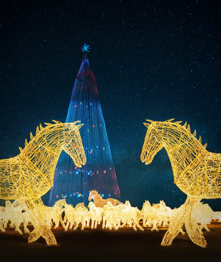World’s largest light show set to stay in Mississauga until spring ...
