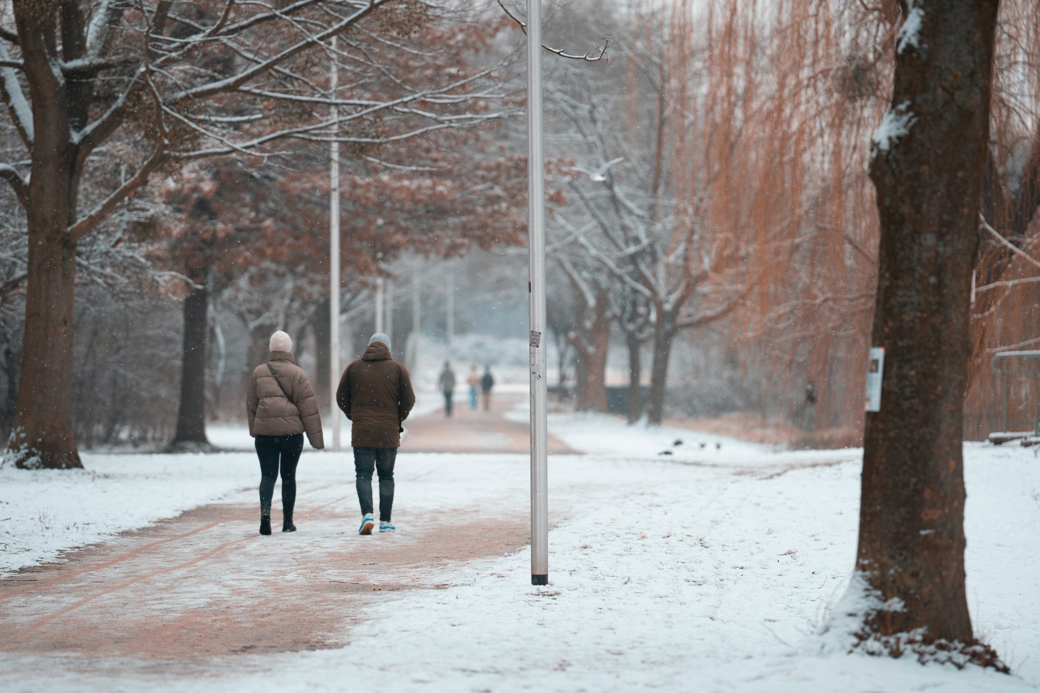 5 places to take a winter nature walk in Mississauga | INsauga