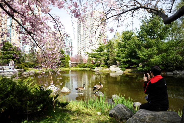 Renovation happening at one of Mississauga's most beautiful parks | INsauga