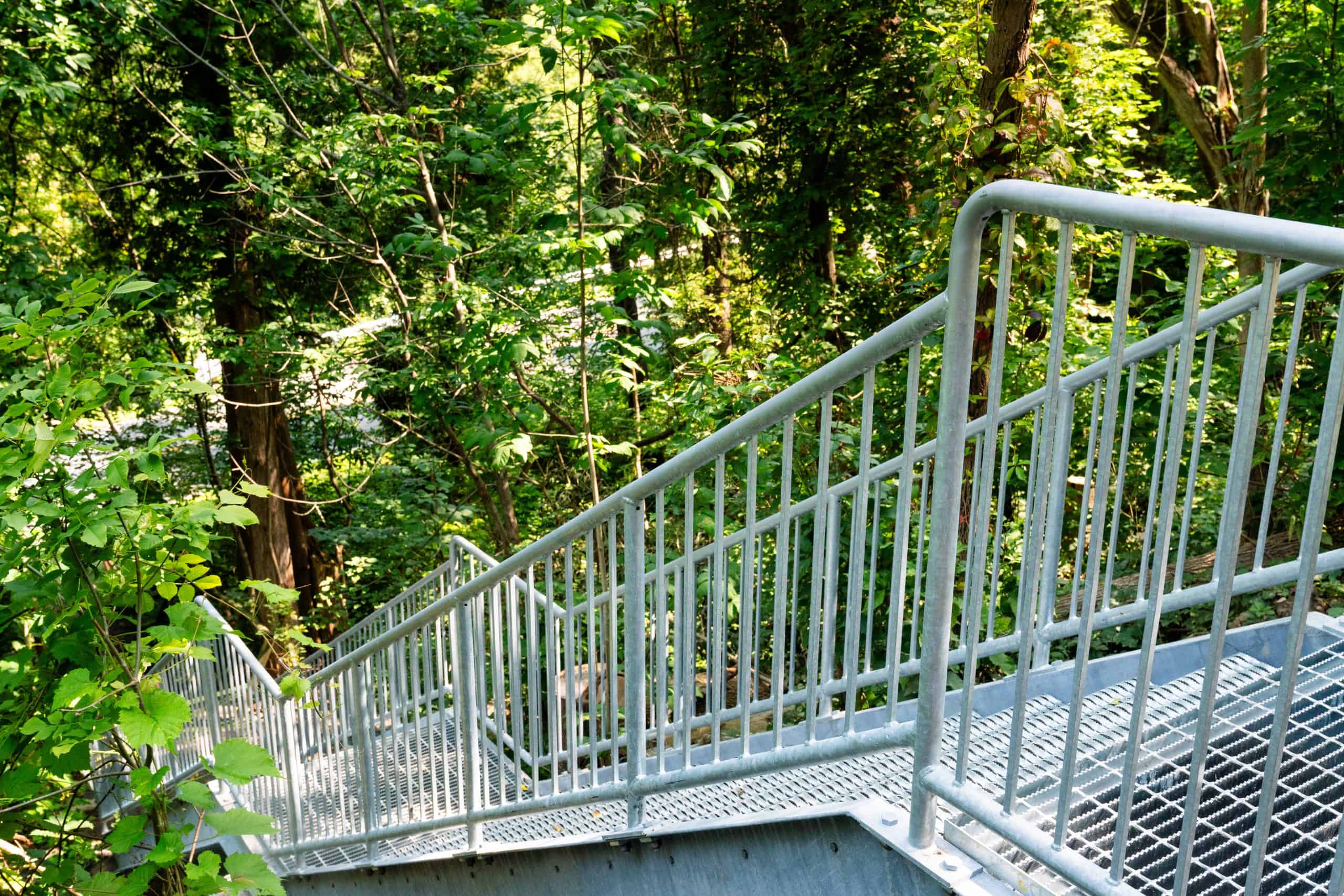 $50,000 federal grant will be used to replace Bruce Trail staircases in ...