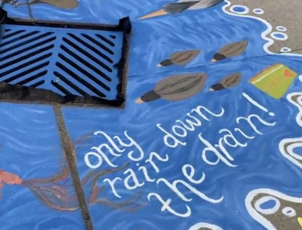 Video: Win prizes and learn about impact on watersheds with catchbasin ...