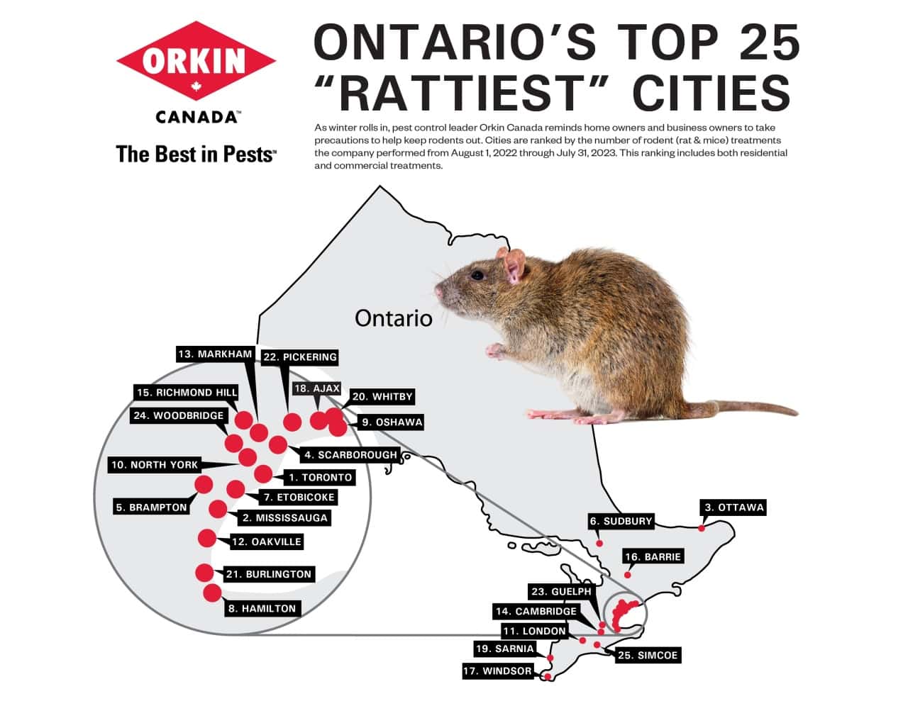 One of worst cities in Canada for rats is Mississauga, report shows ...