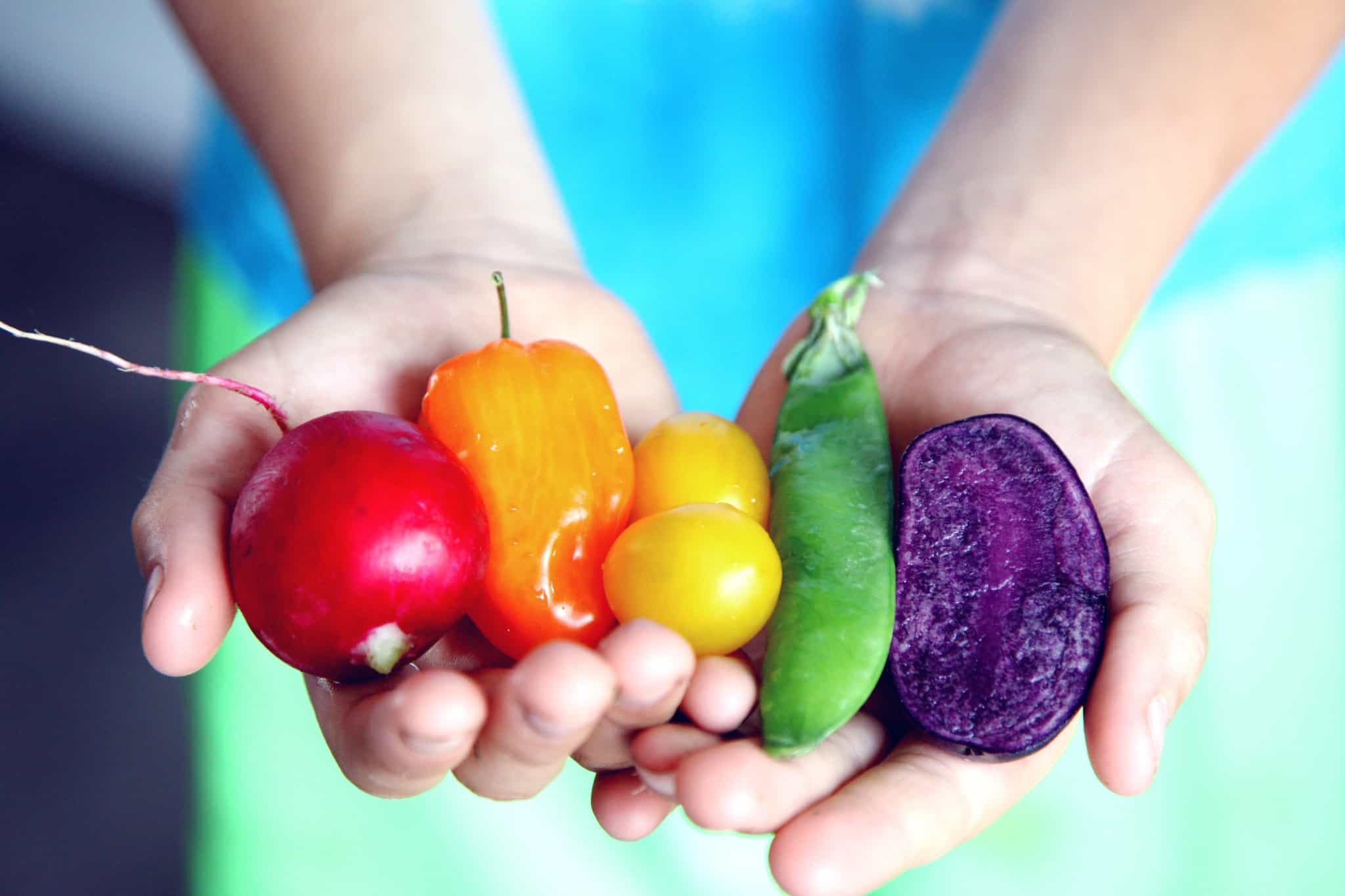 Additional $5 million earmarked for student nutrition programs in ...
