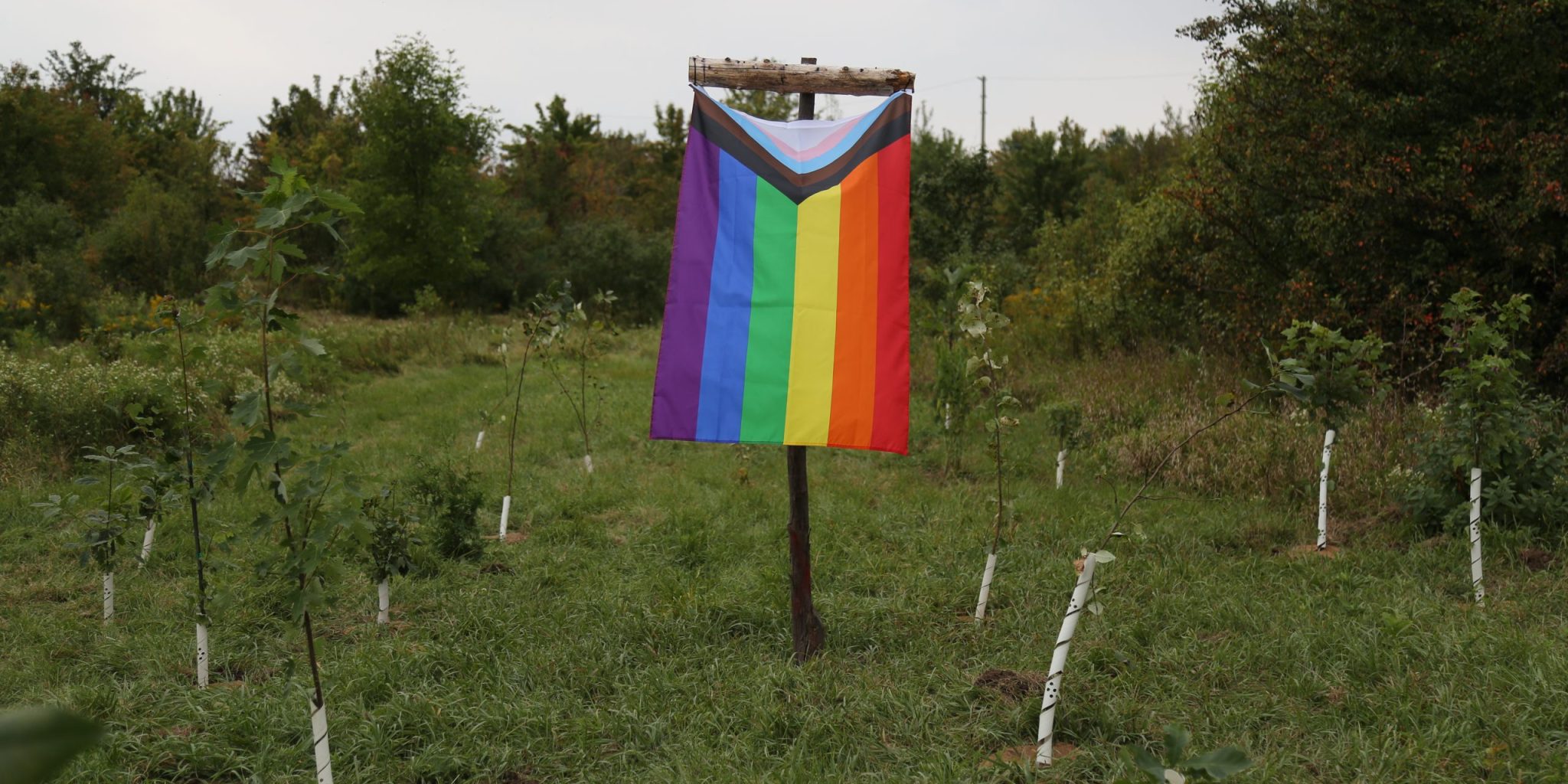 Pride events being held at Halton Conservation Parks during June | INsauga