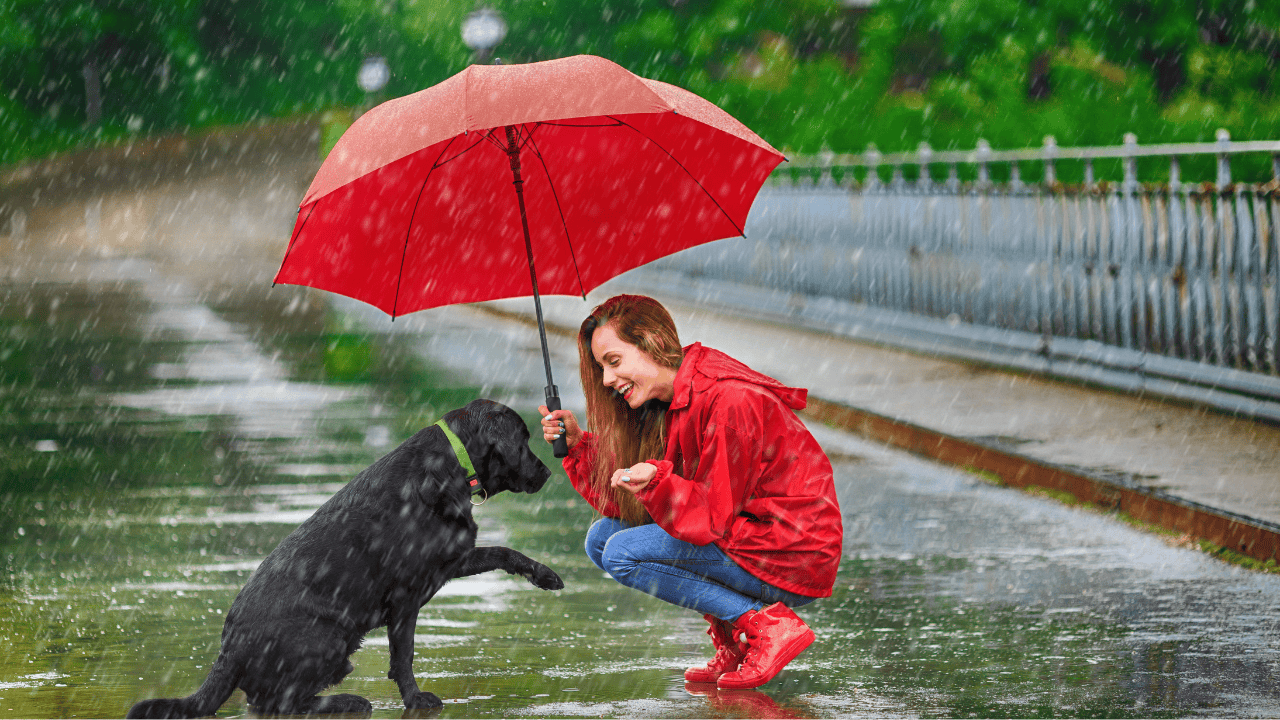 May 5 Weather: Another cloudy and rainy day in southern Ontario | INsauga