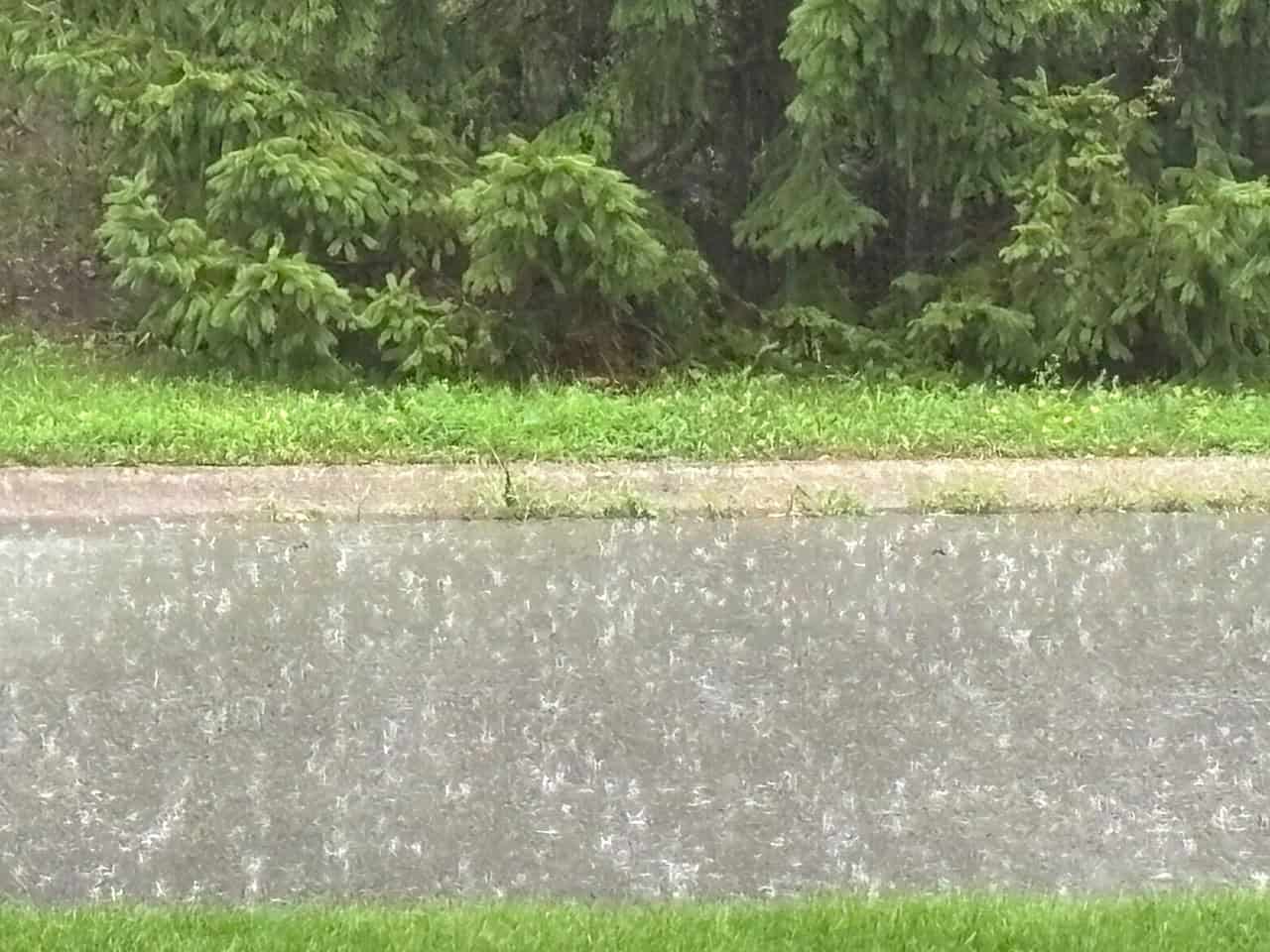 Dangerous conditions near rivers and streams brought about by heavy ...