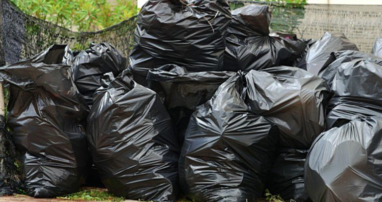 What you need to know about unlimited trash collection in Mississauga ...