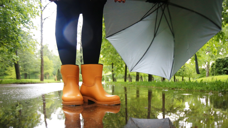 July 14 Weather: Sweltering day with rain headed to southern Ontario ...