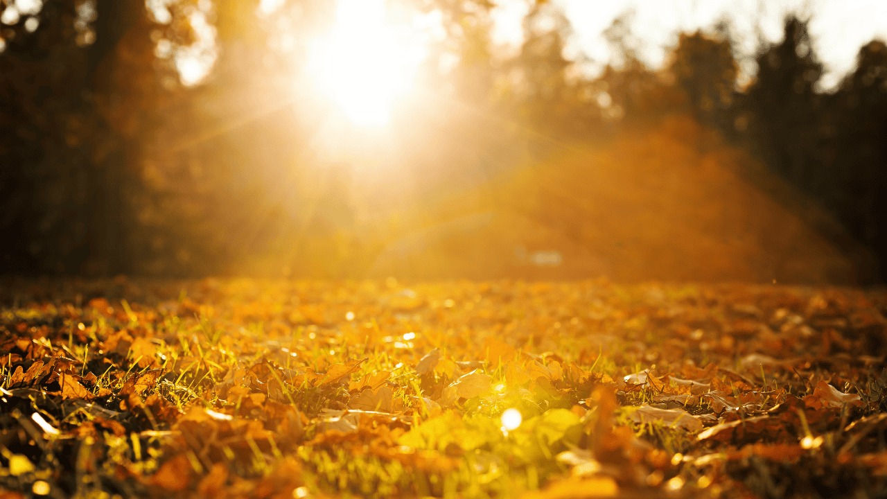 This week's weather: A little rain, lots of sunshine and chilly nights ...