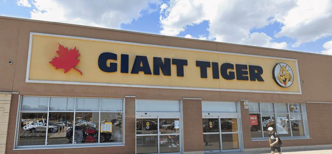 RECALL: Kids shorts sold at Giant Tiger pose lead risk, officials warn ...