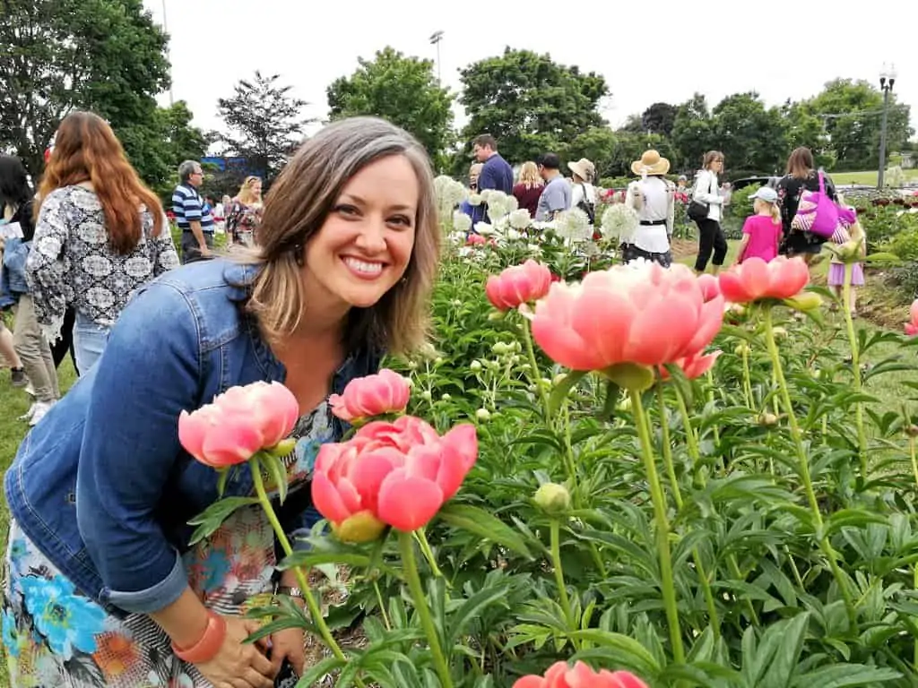 Award winning Oshawa Peony Festival adding vibrant colours to city June ...