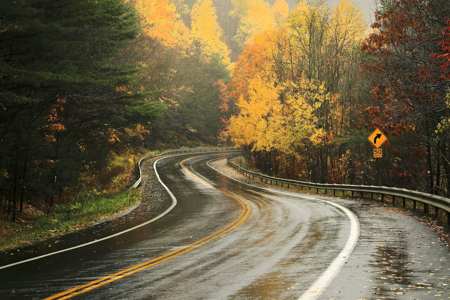 Thanksgiving weekend weather: Rainy, cool weather forecast in southern ...