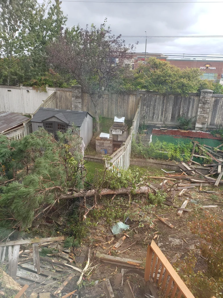 Bus driver who smashed through backyards in Brampton was not at fault ...