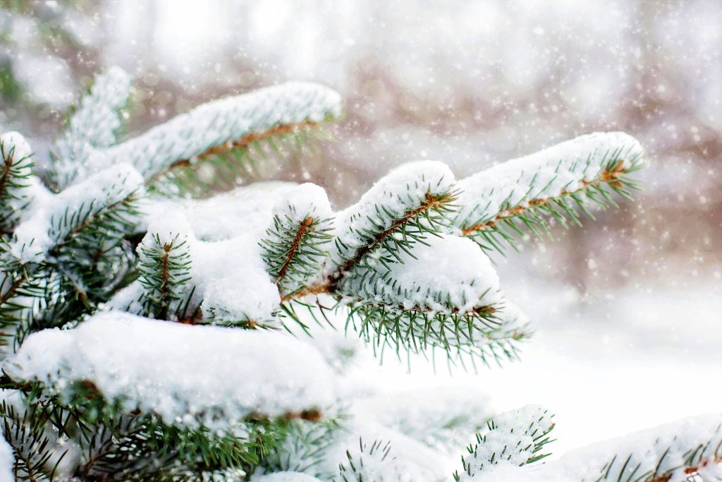 Snow is coming this weekend in the GTA and southern Ontario | INsauga