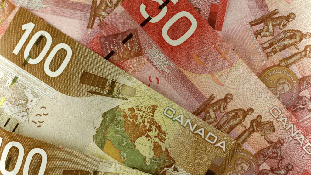 Benefit cheques that are coming in the first quarter of 2025 | INsauga