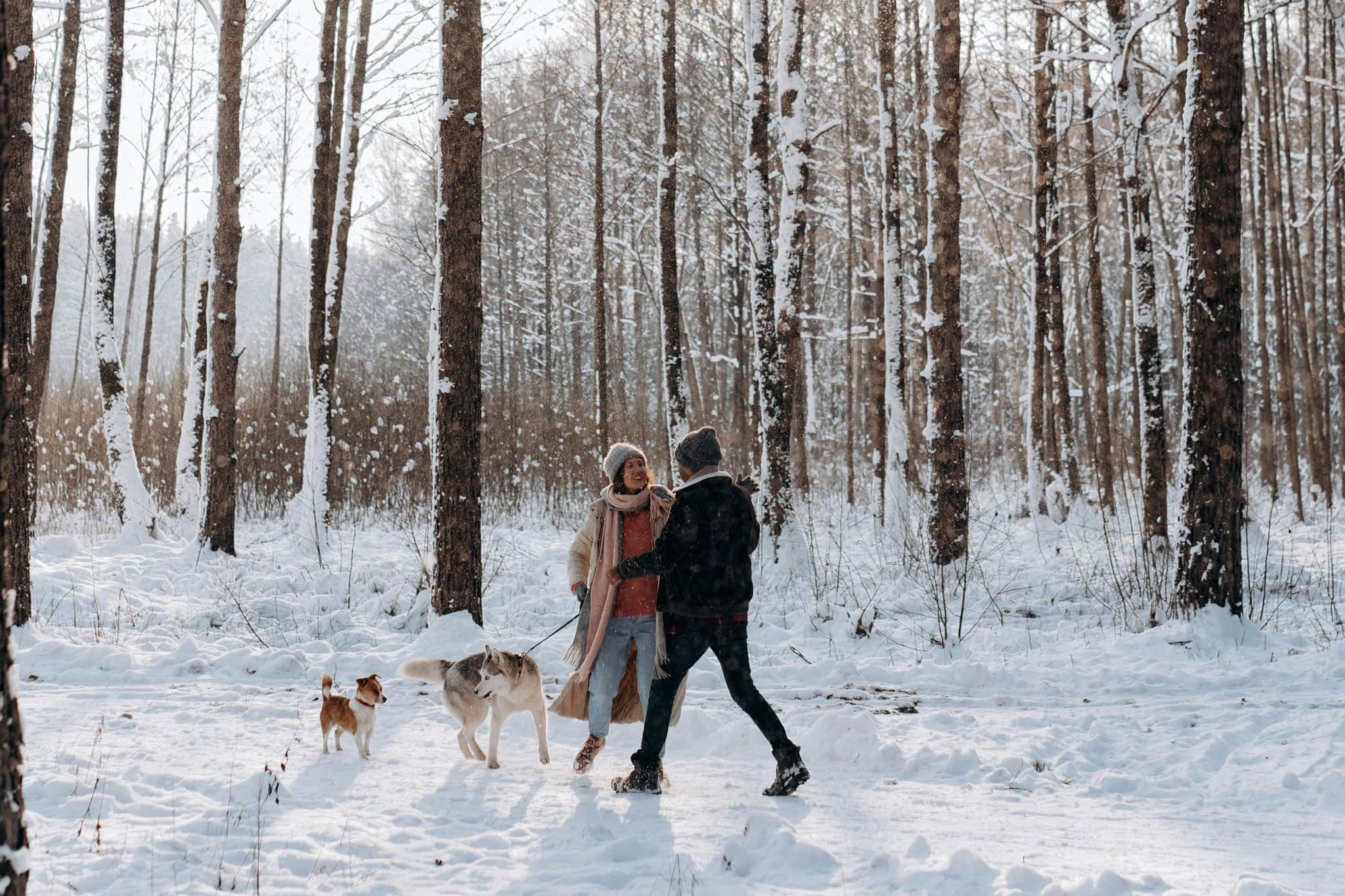 More snow forecast this weekend in southern Ontario | INsauga