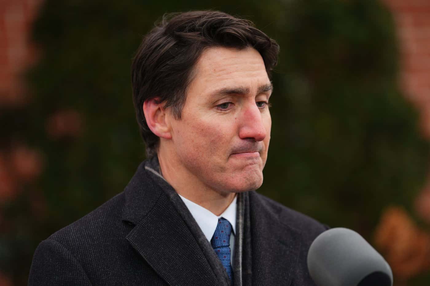 Justin Trudeau to step down as prime minister | INsauga