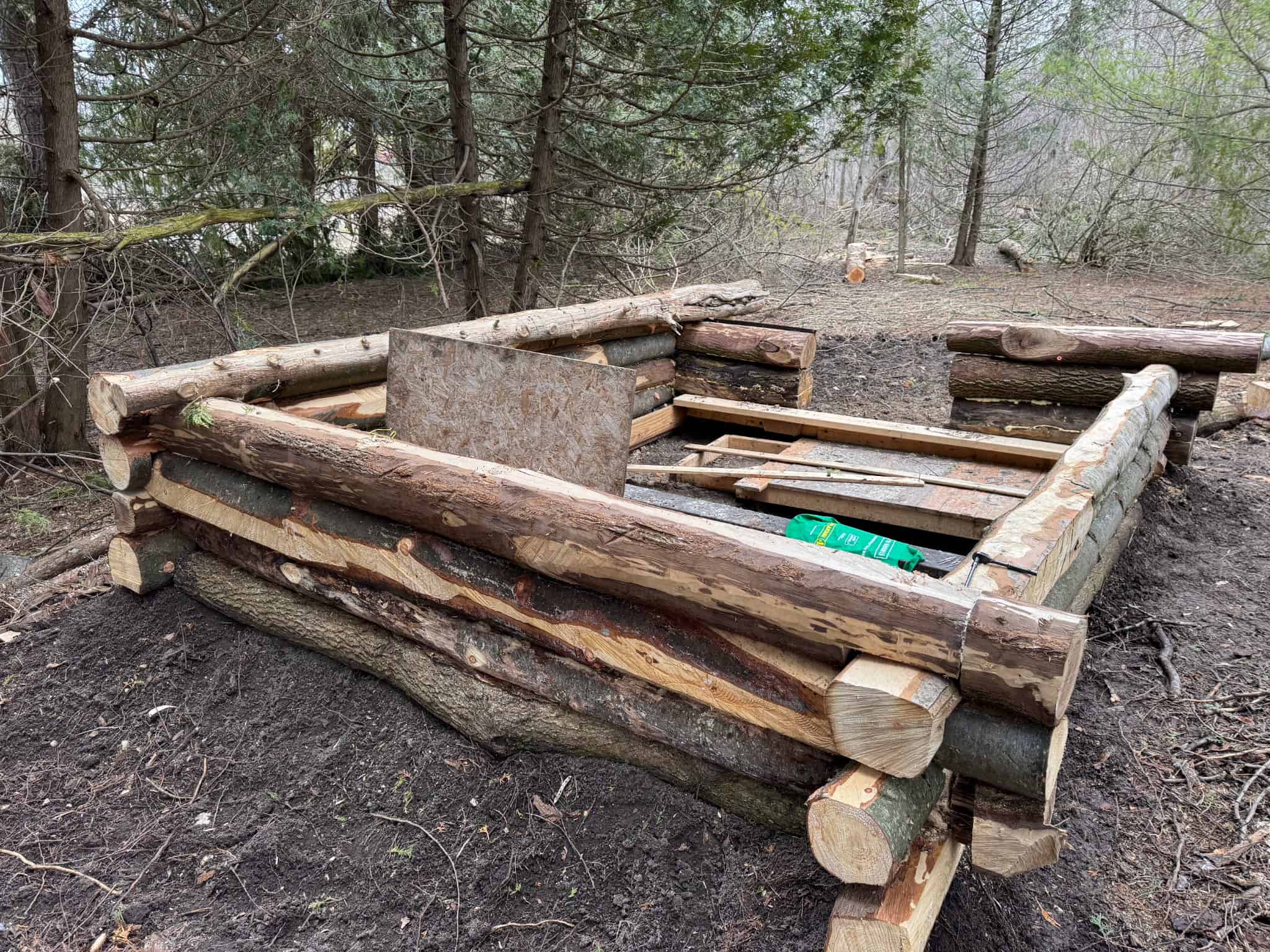 Man charged after log cabin found and 27 trees cut in Ontario | INsauga