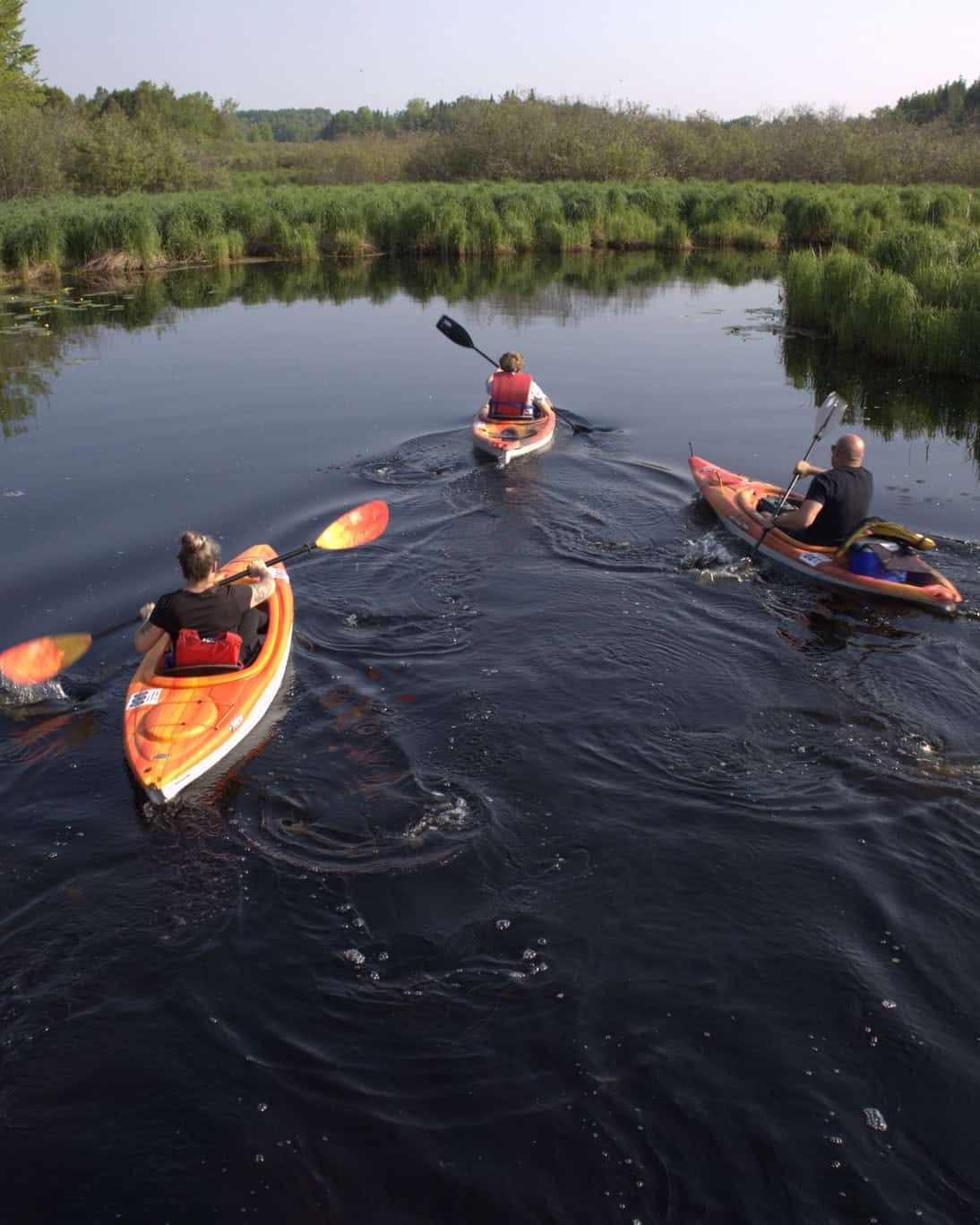 Paddlers raise $11,000 for local museum in annual canoe race in Ontario ...