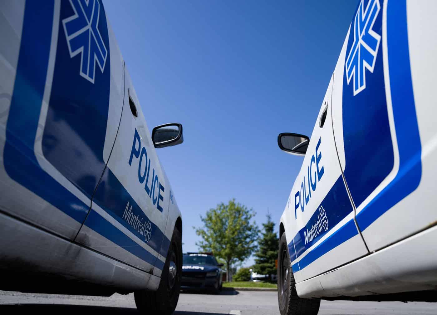 Police make arrests in major operation targeting Montreal's Italian ...