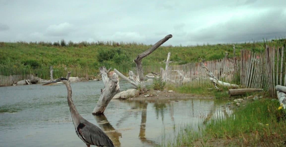 Boardwalk will offer 'one-of-a-kind' view at huge conservation area in ...