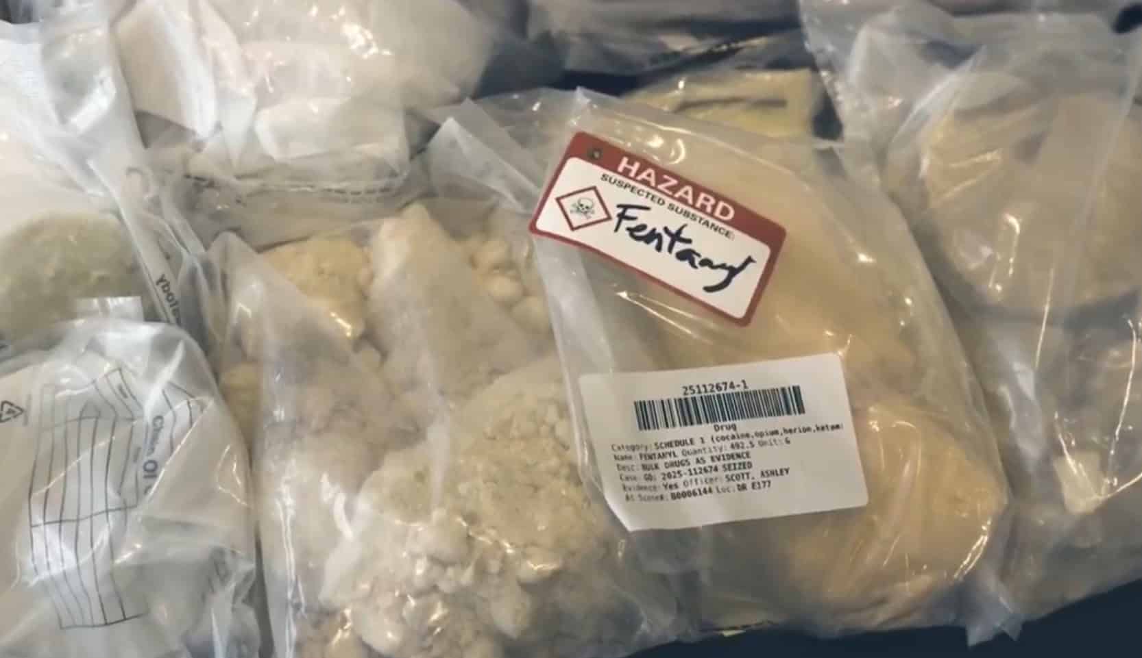 23 charged in huge drug and gun bust in Ontario; 2 Mississauga men ...