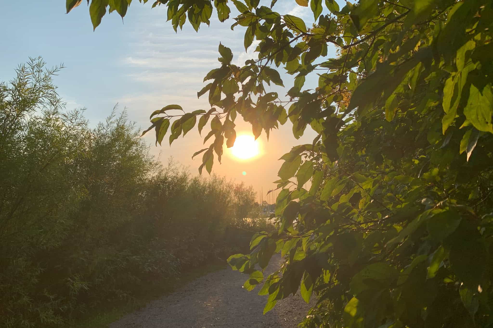 Temperature record broken at Toronto Pearson Airport as heat wave ...
