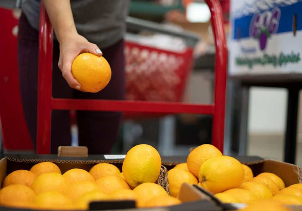 16,000 kids will miss vital school meals this summer in Mississauga ...