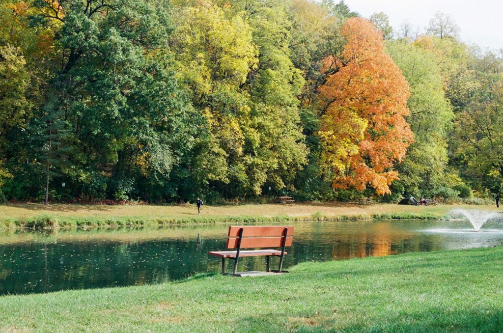 Kids need watchful eyes on them to stay safe at Mississauga parks: city ...