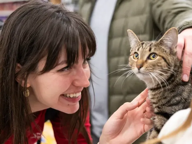 Forever homes for pets wanted during National Adoption Week locally and ...