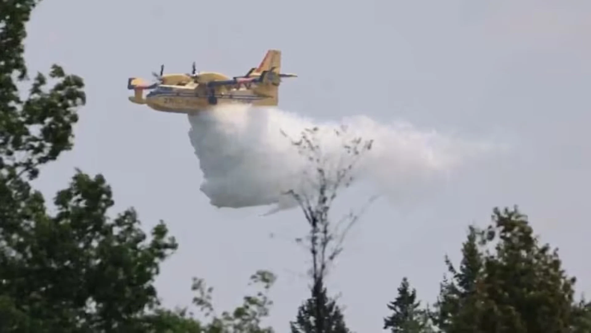 Burn bans lifted in 3 other towns in Ontario region | INsauga