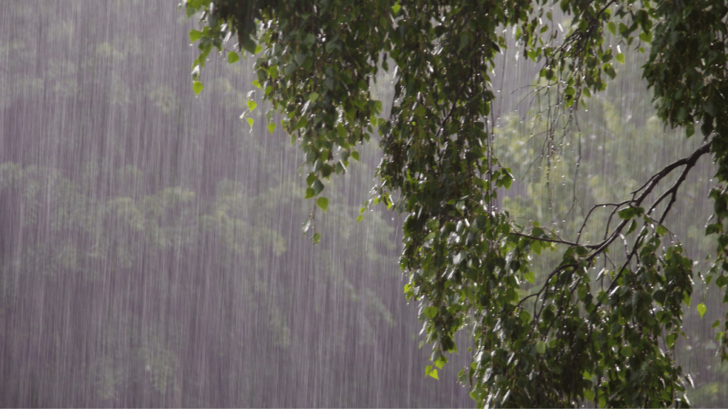 90 km/h winds, heavy rain and hail moving into parts of Ontario | INsauga