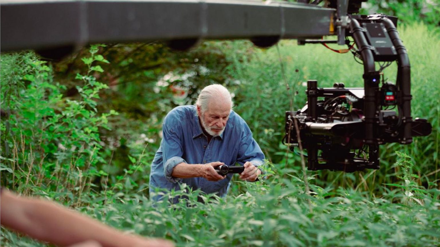 Man who fought for an un-mowed lawn in Mississauga now subject of a ...