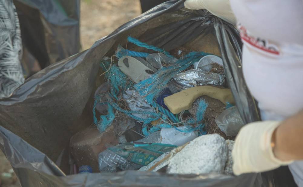 Find out when unlimited garbage will be collected in Mississauga ...
