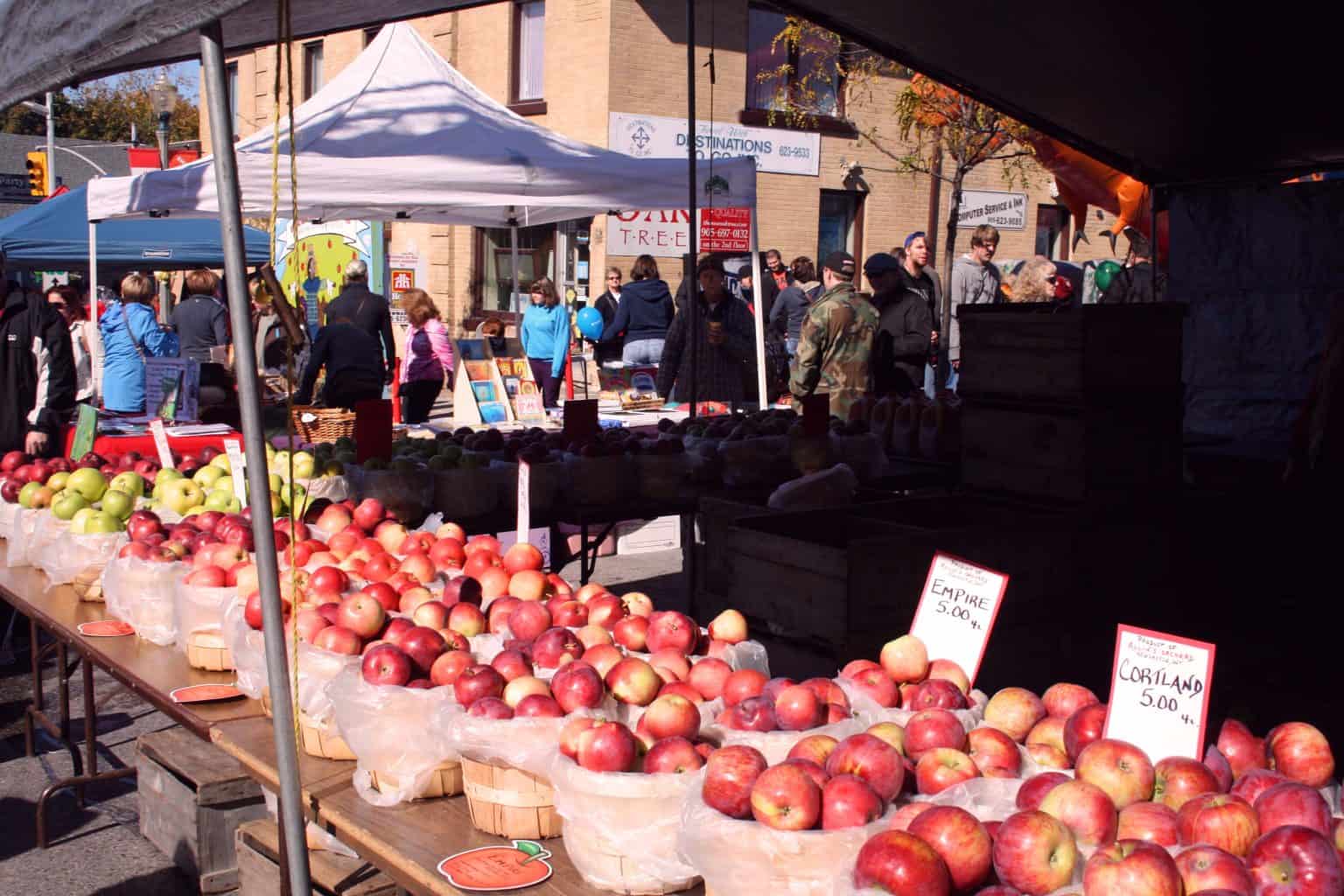 Popular Applefest event returns to historic Ontario downtown | INsauga
