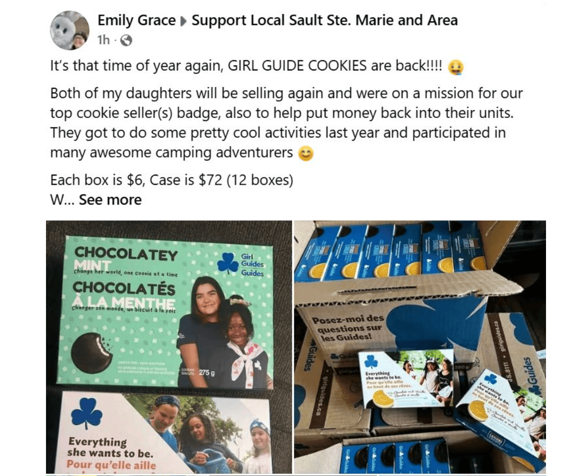 Girl Guide cookie scam circulating in Ontario | INsauga