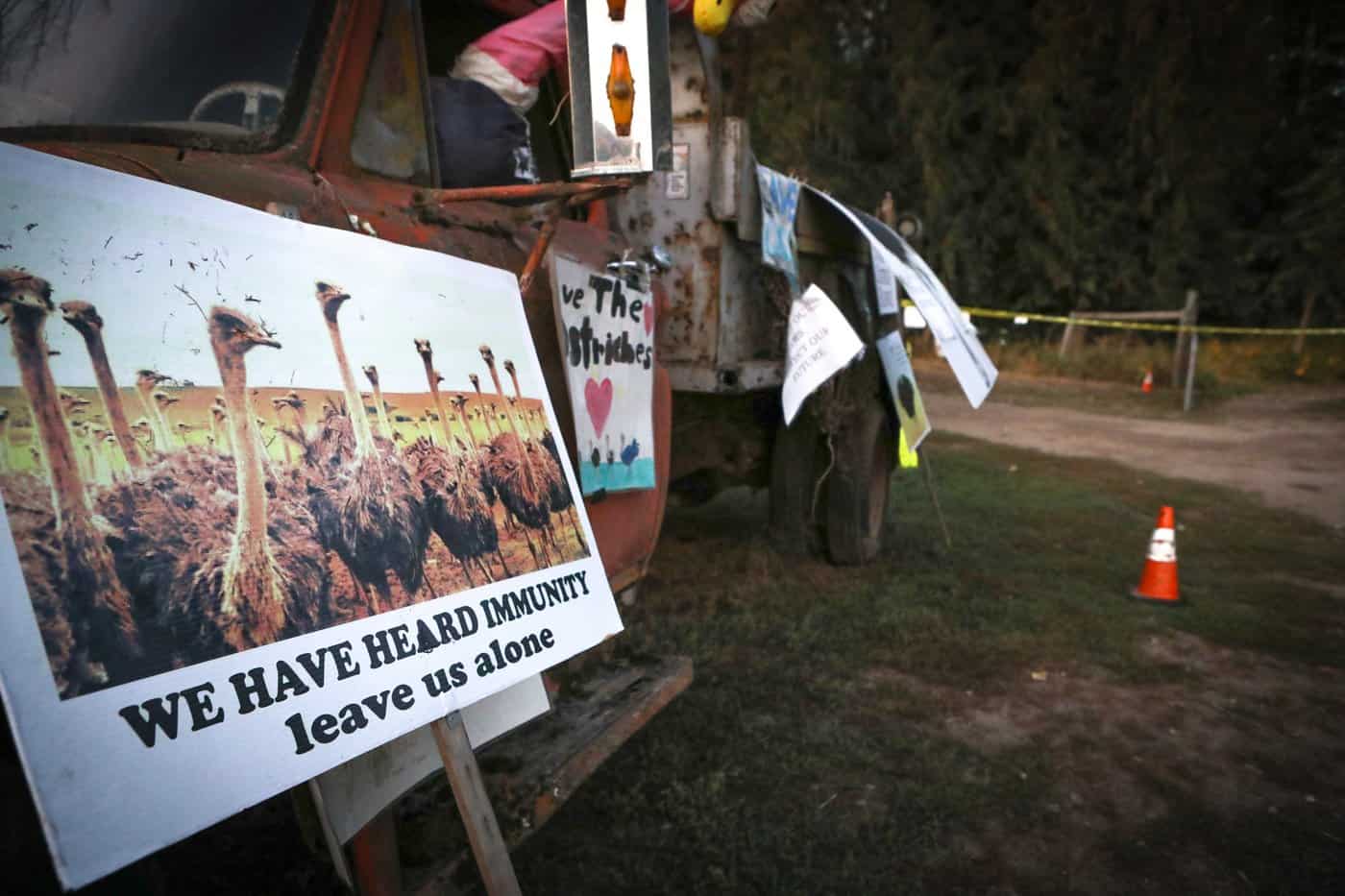 Police say nothing suspicious after man dies at B.C. ostrich farm ...