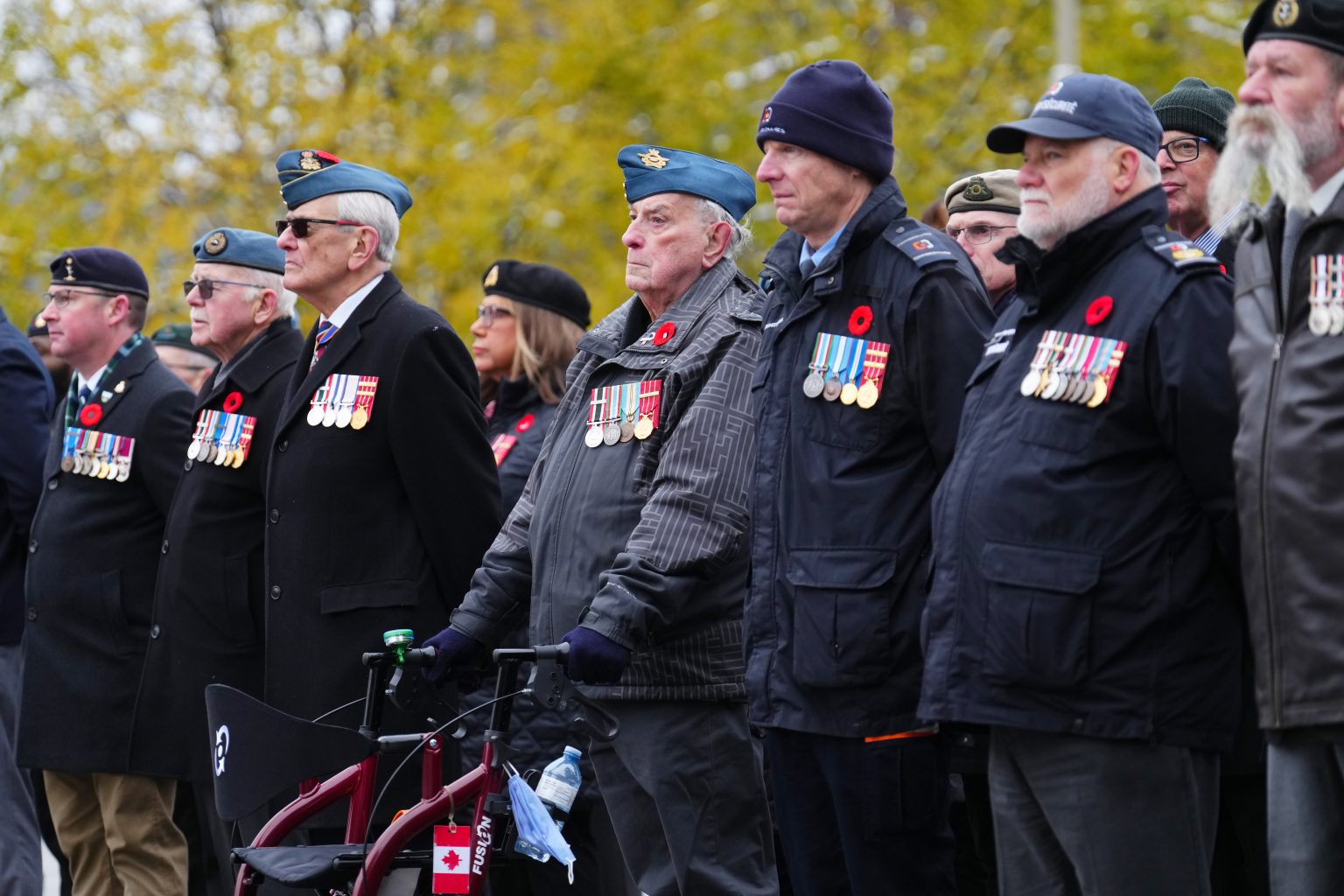 'Everybody's gone': Canadians mark sombre Remembrance Day as number of ...