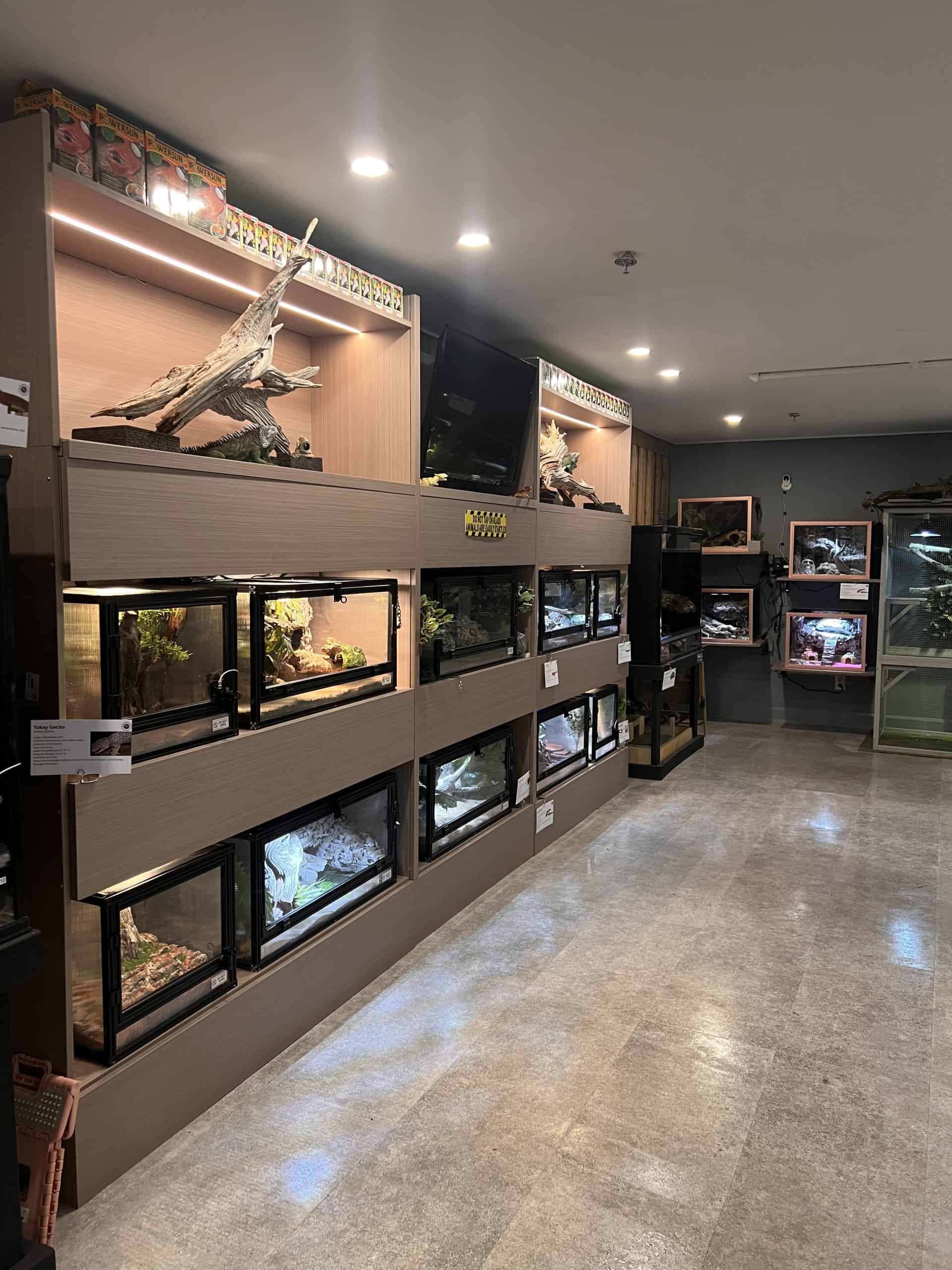 Turtles, snakes and iguanas on display at Canada’s first exotic animal ...