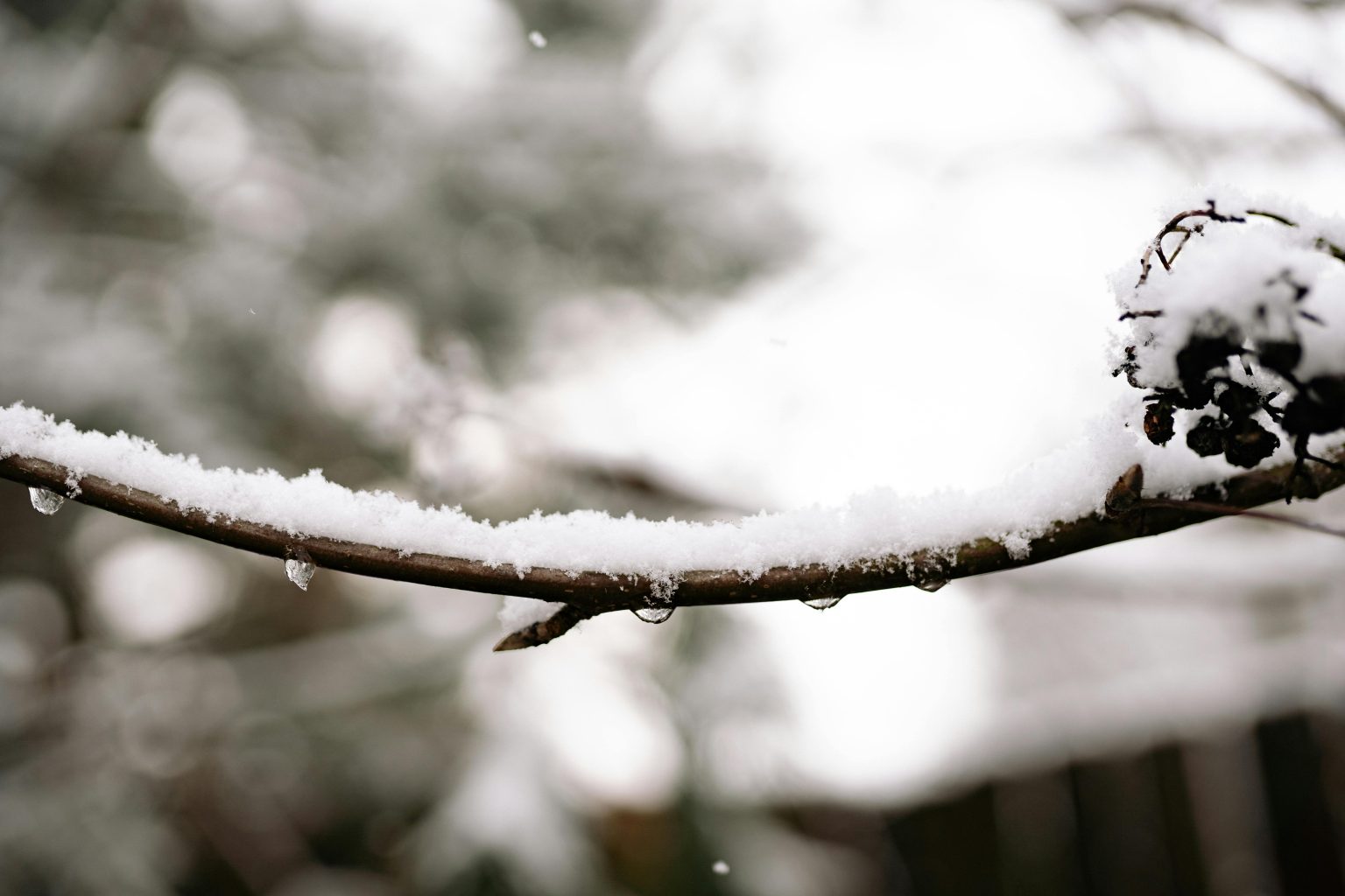 Dec 17. weather: Warmer temperatures to break cold streak | INsauga